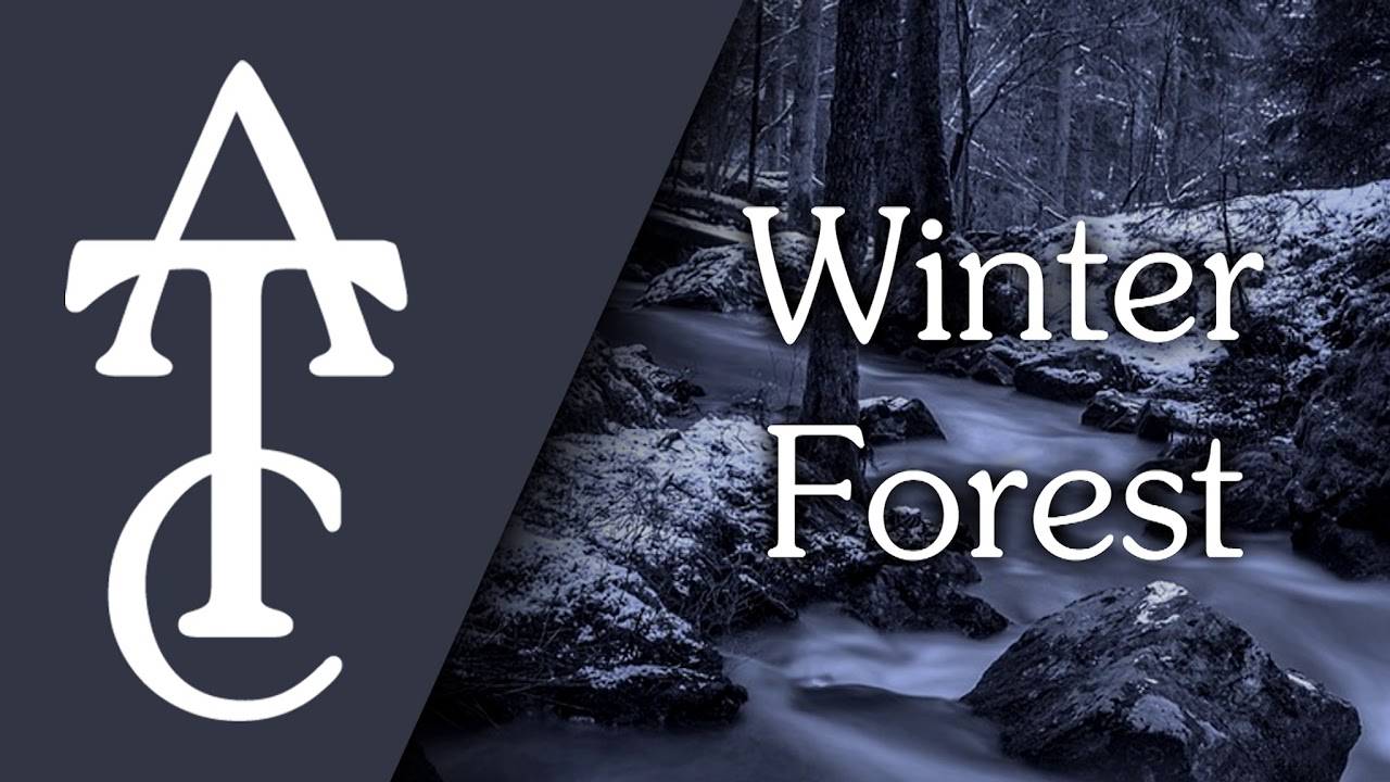 Winter forest/storm/campfire/DND ambience/Grimdark/Fantasy/RPG playlist