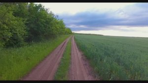 Безмятежность полей