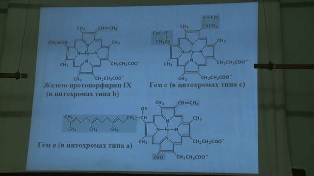 Асеев В. В. - Основы биохимии - 13. Разновидности ферментов