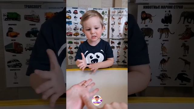 VID_20240929_203849