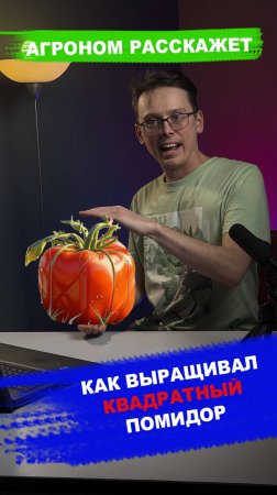Квадратный помидор