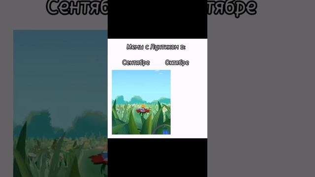 мемы