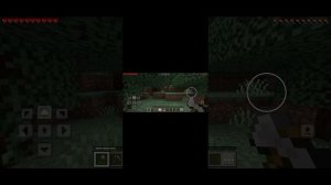 1000049512.mp4