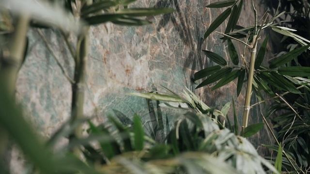 Новинки от Porcelanosa на выставке Cersaie 2024 (1080p)