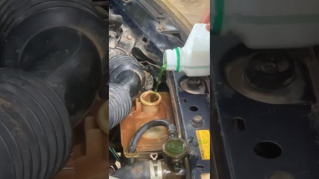 Toyota vitz coolant