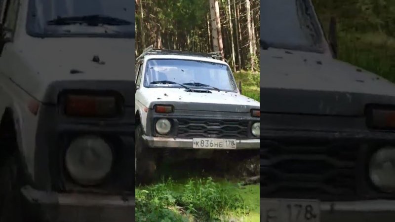 На ниве по жизни
