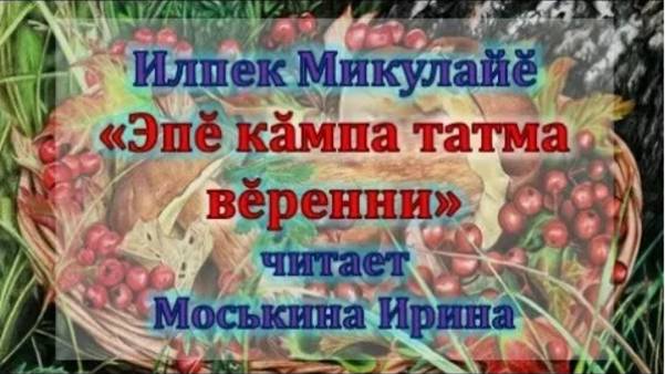 "Эпĕ кăмпа татма вĕренни" Илпек Микулайĕ