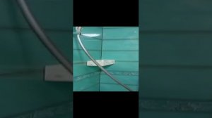 06-12-2024 Светлое Большей Шаде