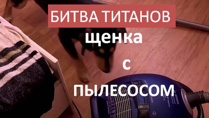 Кто тут хозяин?!