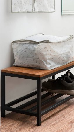 75517 Кофр Smart Storage  20*30*40см