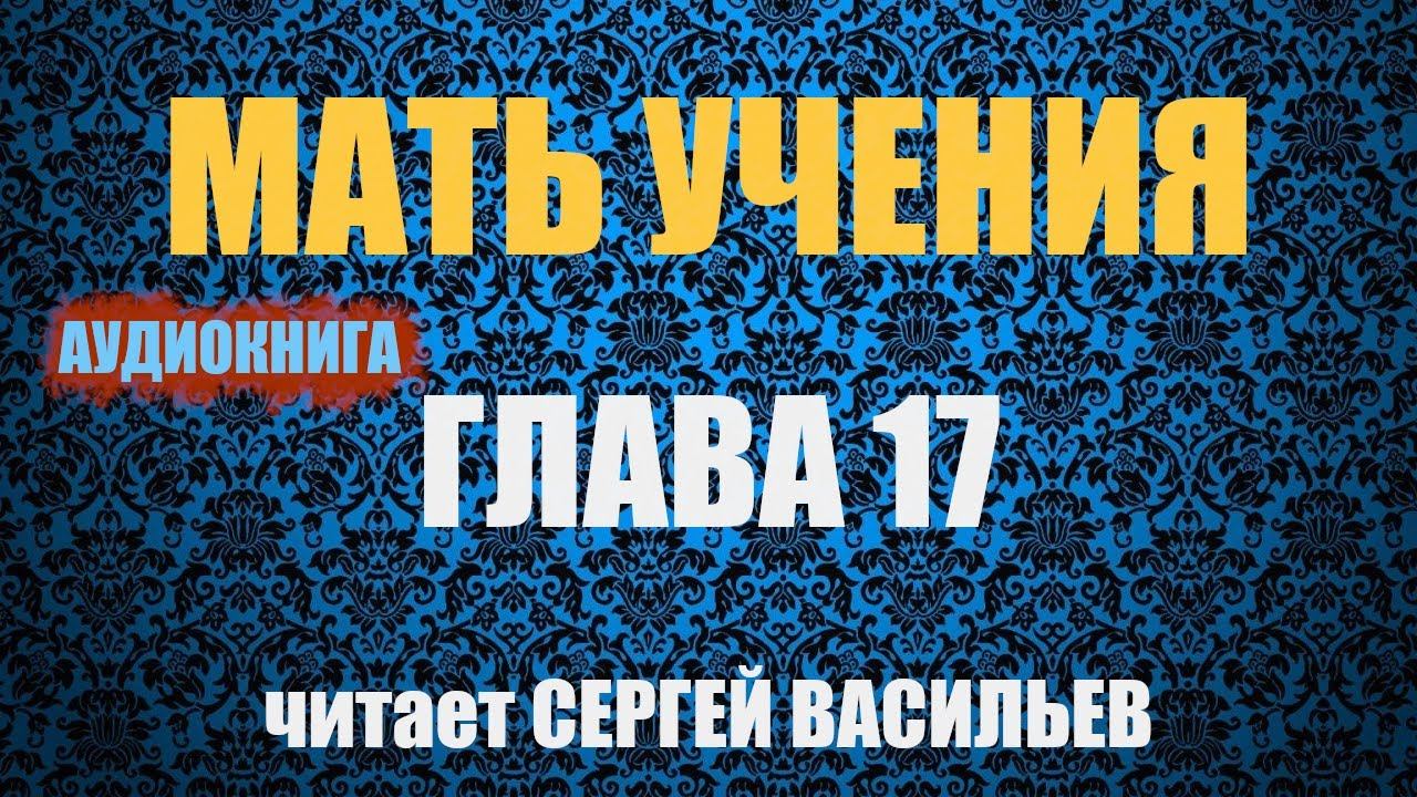 Мать учения - Гл.17 - Паучья симпатия (аудиокнига Васильев С.)
