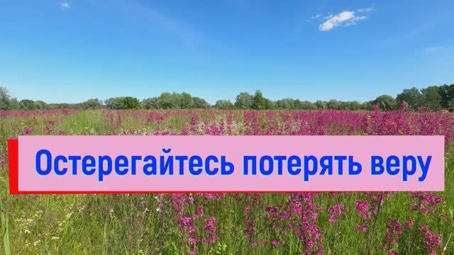 Остерегайтесь потерять веру (Проповедь  № 10)