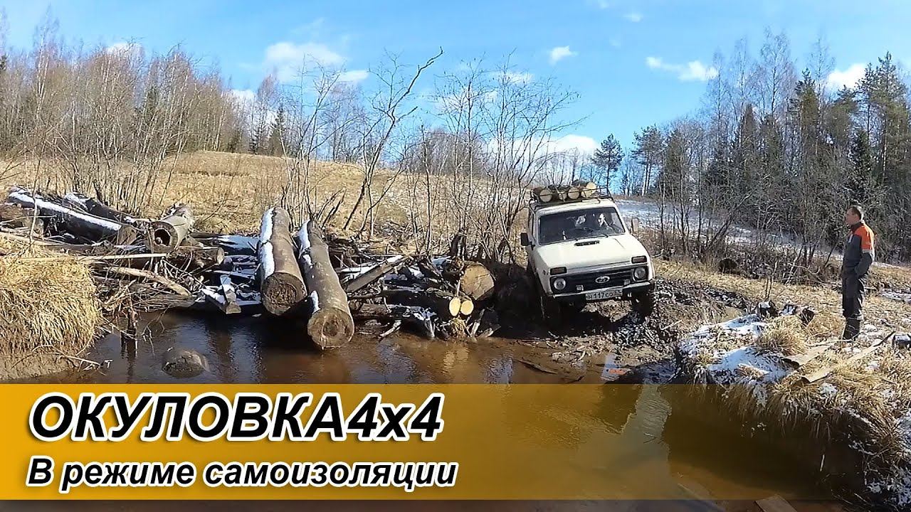 В режиме самоизоляции