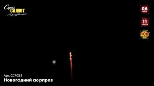 Новогодний сюрприз | CC7035