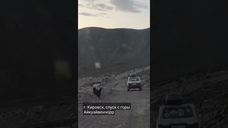 г. Кировск, спуск с горы Айкуайвенчорр на Нивах