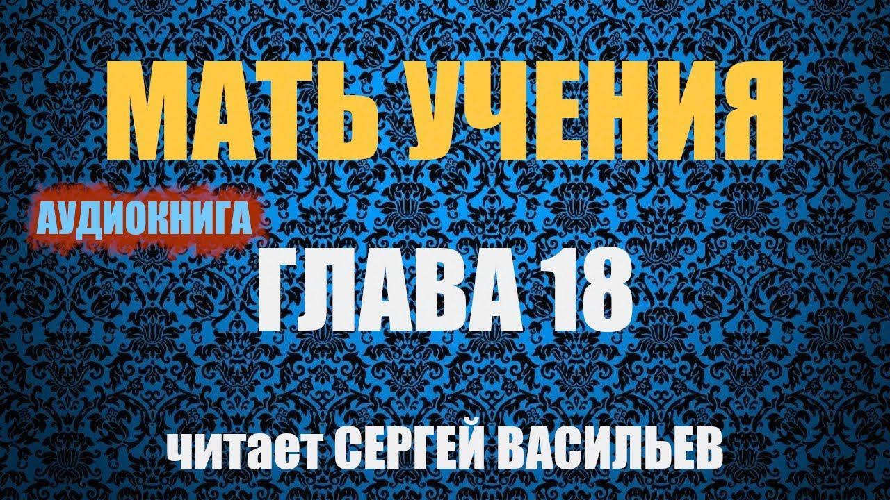 Мать учения - Гл.18 - Договор заключен (аудиокнига Васильев С.)