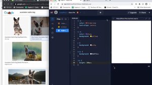 AP CSP - Adding Images to About Me Site