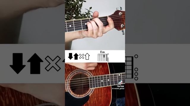1000041199.mp4