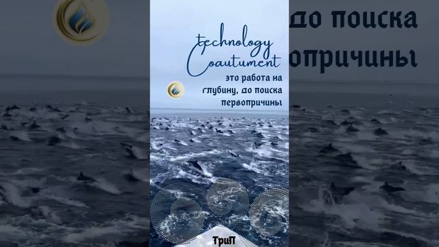ТриП  Потенциал - Прогресс - Польза - Клип @tripcoautument