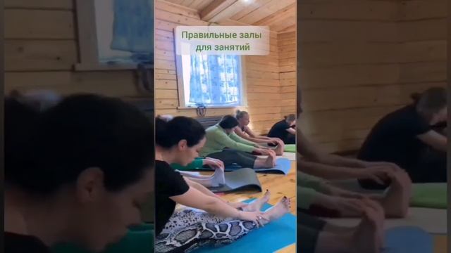 что вас ждет в Доме Дракона