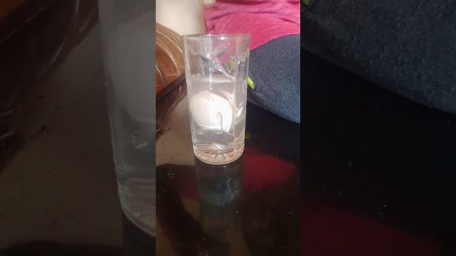 EGG VS KEROSENE EXPERIMENT 😶