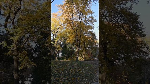 Осень.