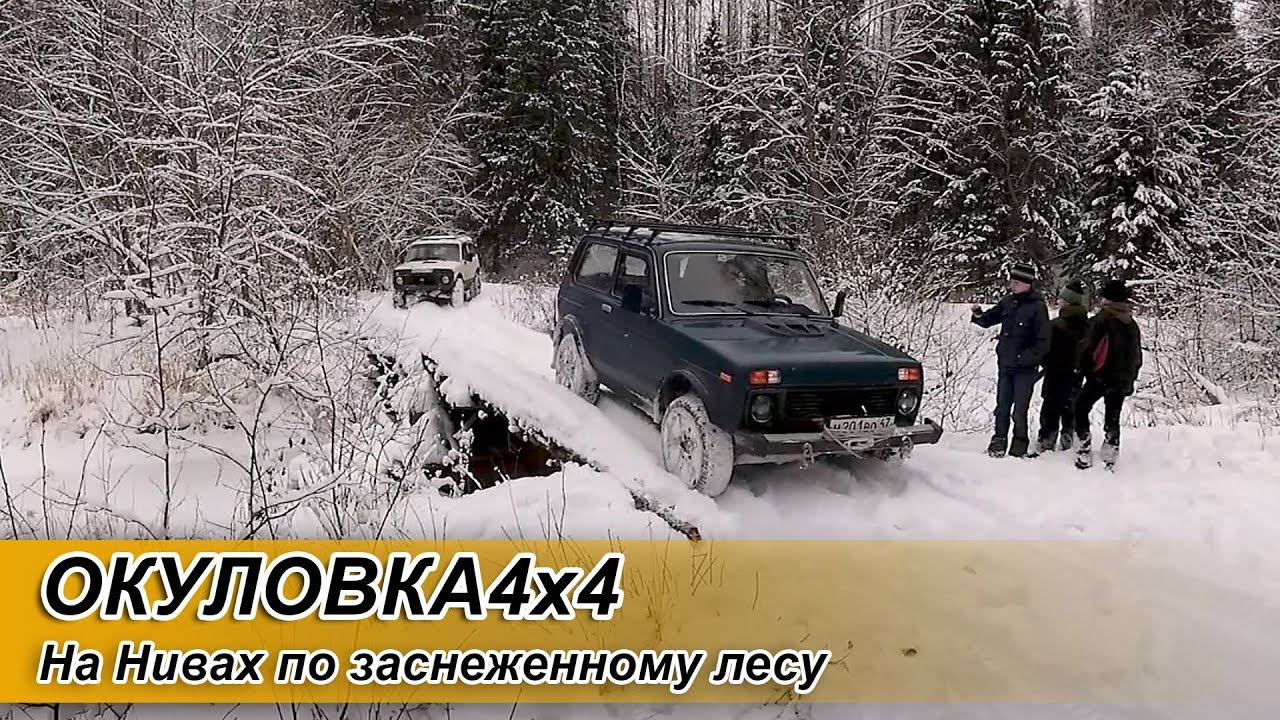 На Нивах по заснеженному лесу Окуловского района #offroad#4x4#нива#Природа#Зима