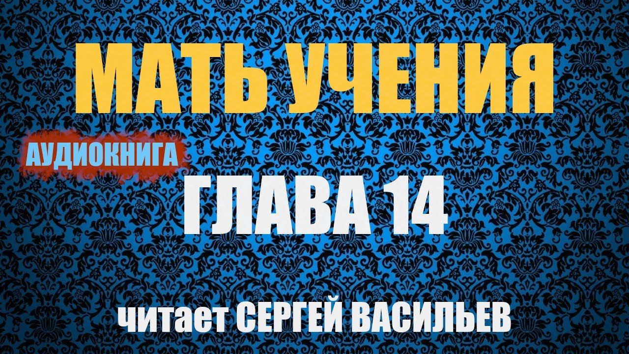 Мать учения - Гл.14 - Фактор сестры (аудиокнига Васильев С.)