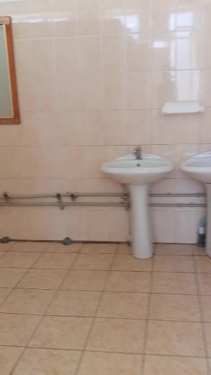 зупапупа
