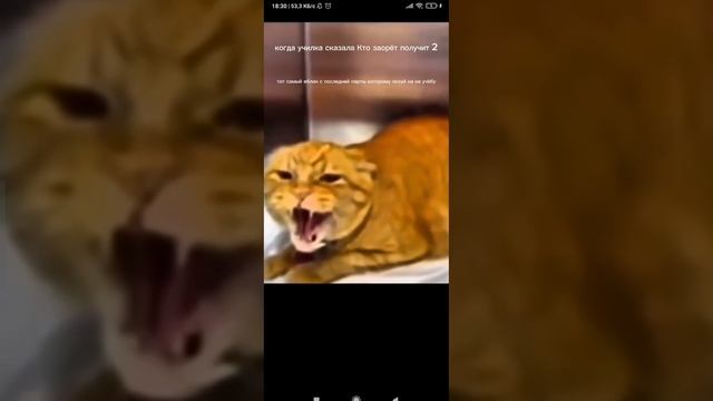 пов:когда училка сказала кто затрат получит 2