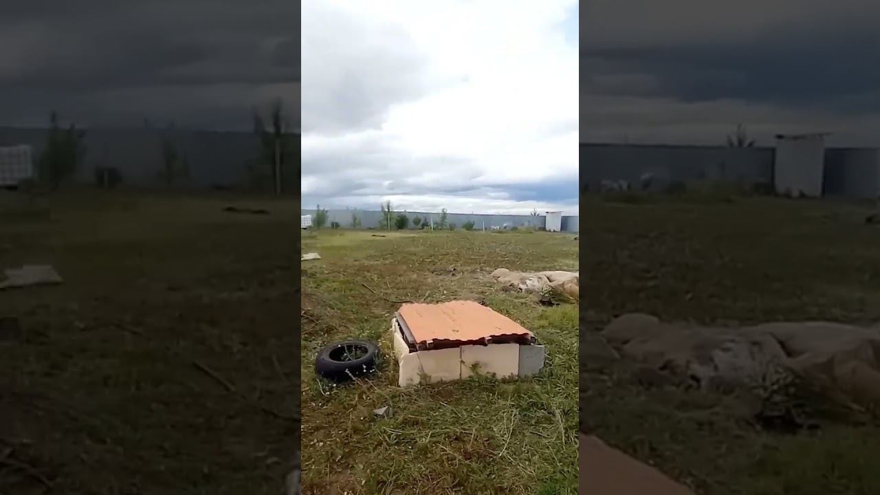 Победил траву!