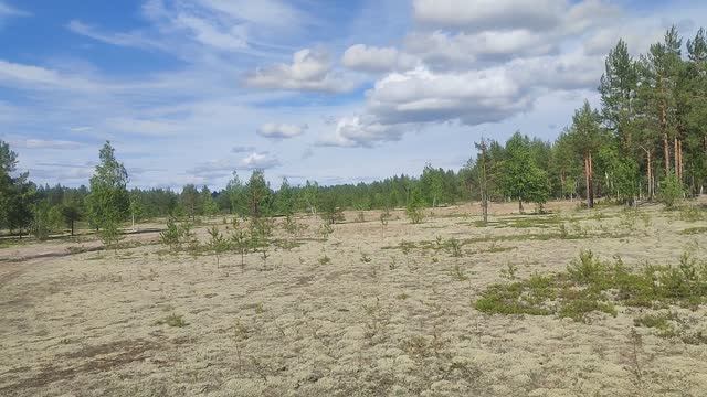 2024 год Июль. 12