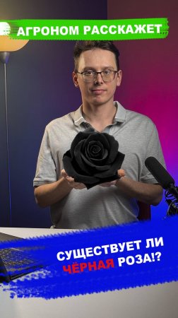 Существует ли ЧЁРНАЯ РОЗА?!