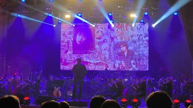 VID_20241207_191334