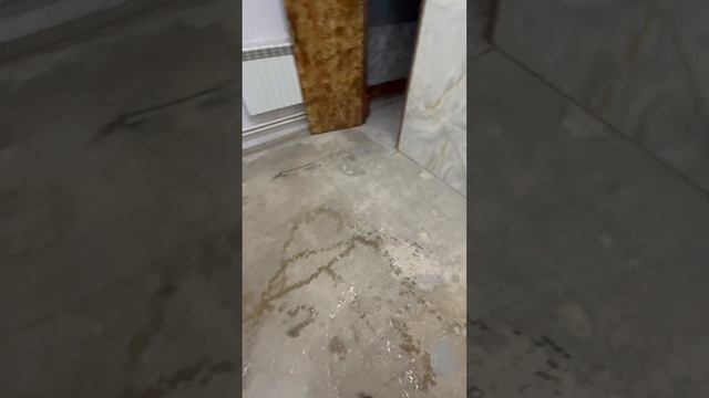 Встреча с порога)
