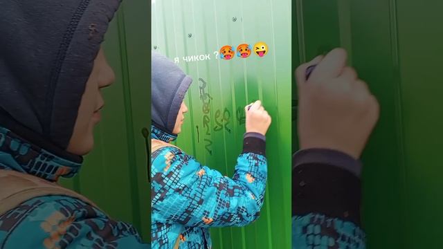я чикорь??¿¿