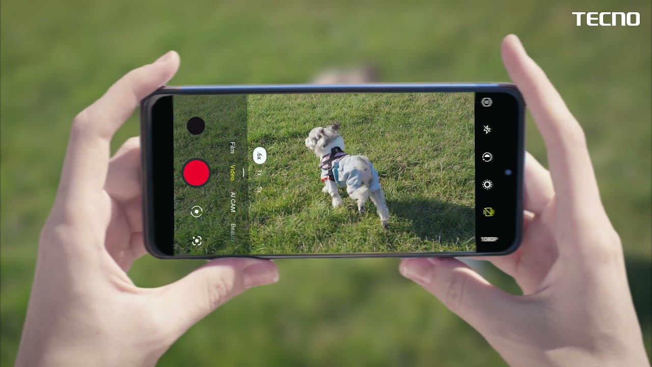 Догони меня, если сможешь!