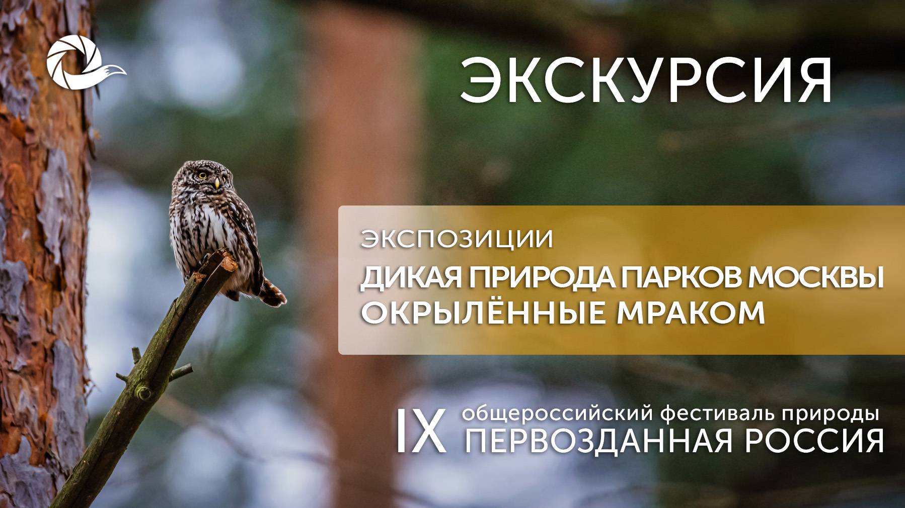 Экскурсия по IX Фестивалю. Дикая природа парков Москвы/ Окрылённые мраком