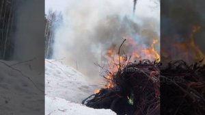 будила меня