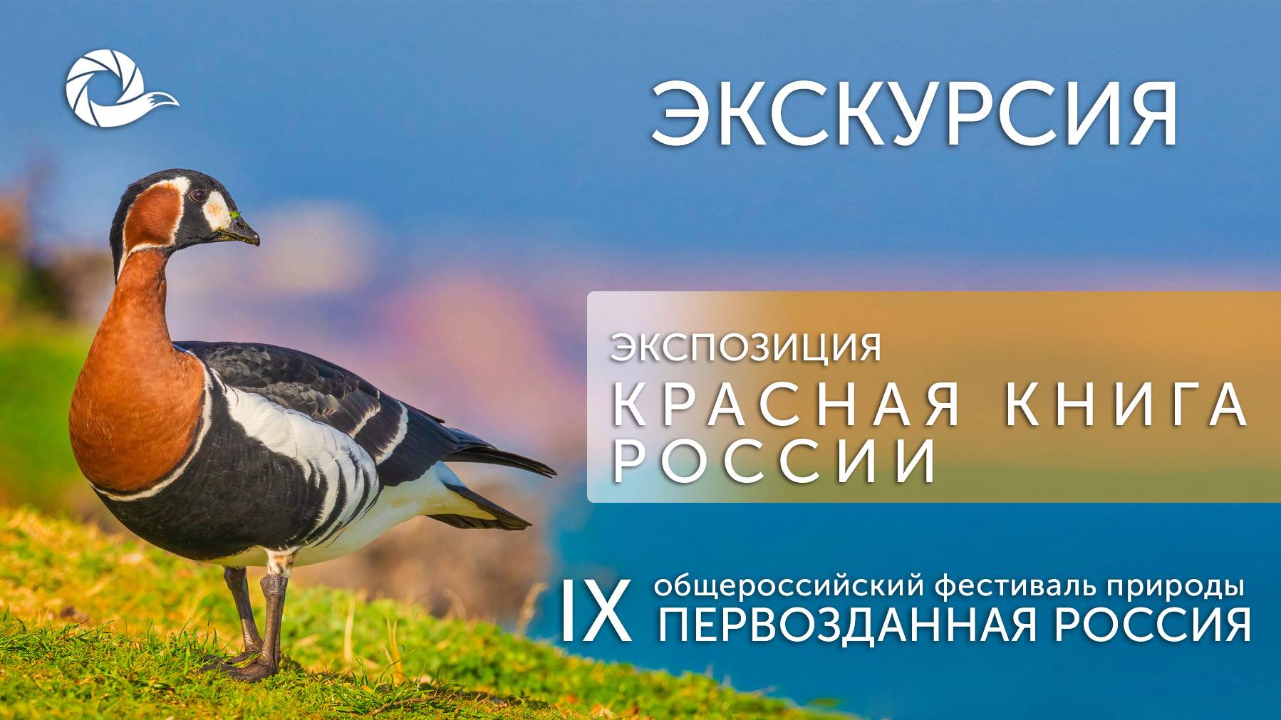 Экскурсия по IX Фестивалю. Красная книга России