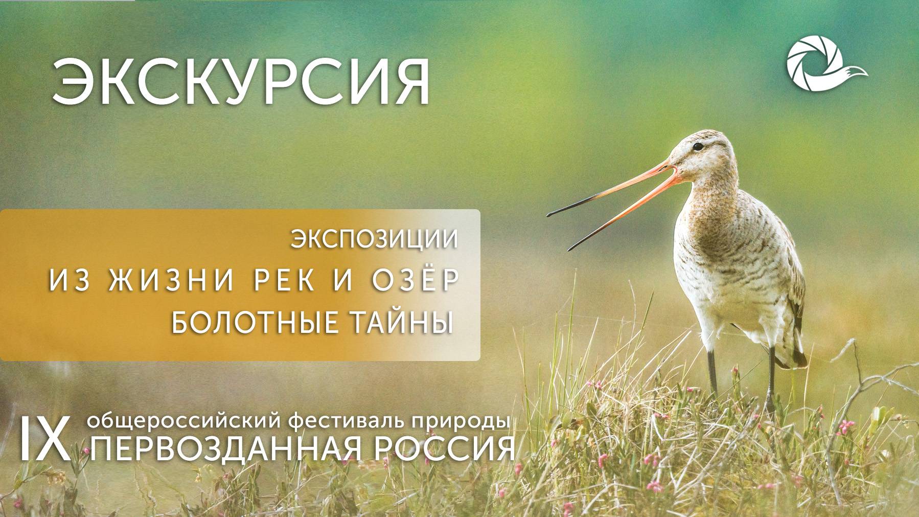 Экскурсия по IX Фестивалю. Из жизни рек и озёр/ Болотные тайны