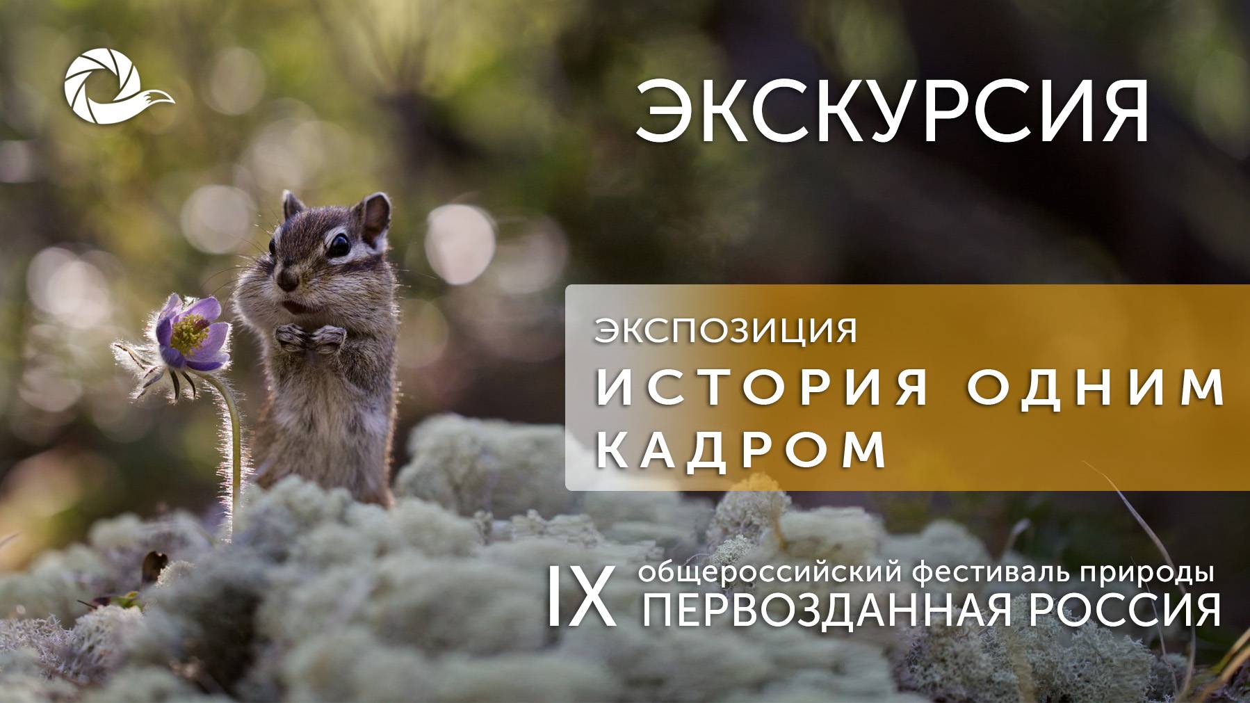 Экскурсия по IX Фестивалю. История одним кадром