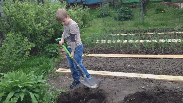Весна на даче. 2015