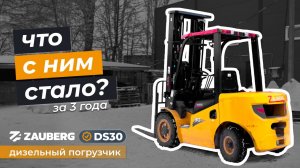 ZAUBERG DS30 -- ИДЕЛЬНЫЙ ПОГРУЗЧИК? | ЧЕСТНЫЙ ОТЗЫВ | ТАТАРСТАН