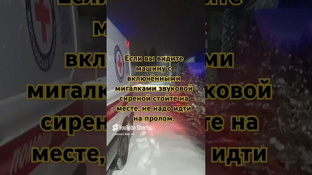 рабочие сутки