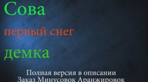 Сова -Первый снег демка минус
