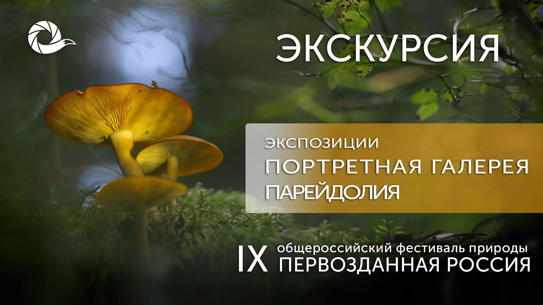 Экскурсия по IX Фестивалю. Портретная галерея/ Парейдолия