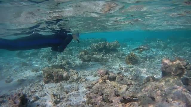 Biyadhoo Maldives, snorkeling. Ноябрь 2022