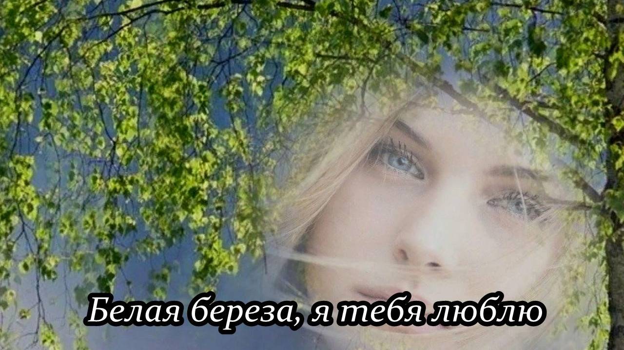 Белая береза, я тебя люблю (канонический текст Владимира Трепетцова)
