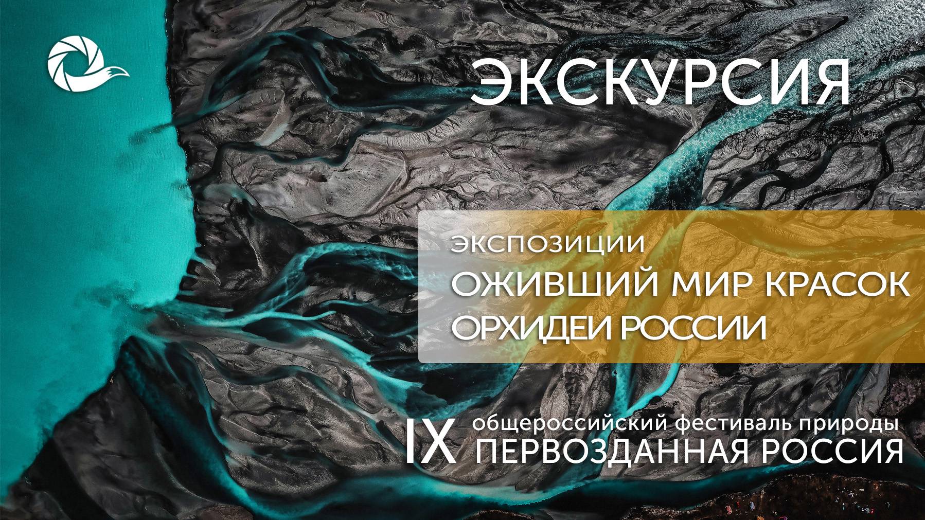 Экскурсия по IX Фестивалю. Оживший мир красок/ Орхидеи России